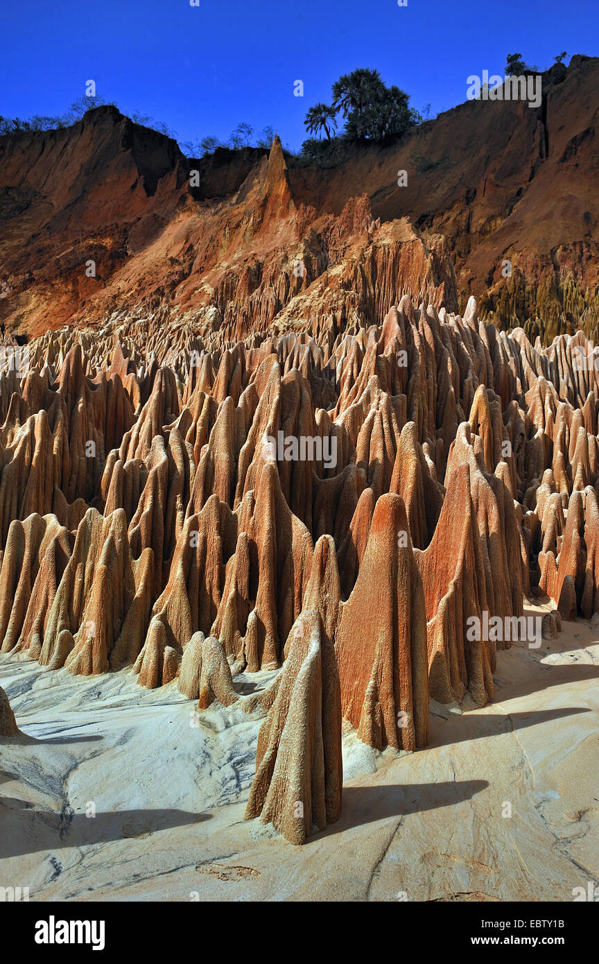 Karst limestone rocks hi-res stock photography and images - Alamy