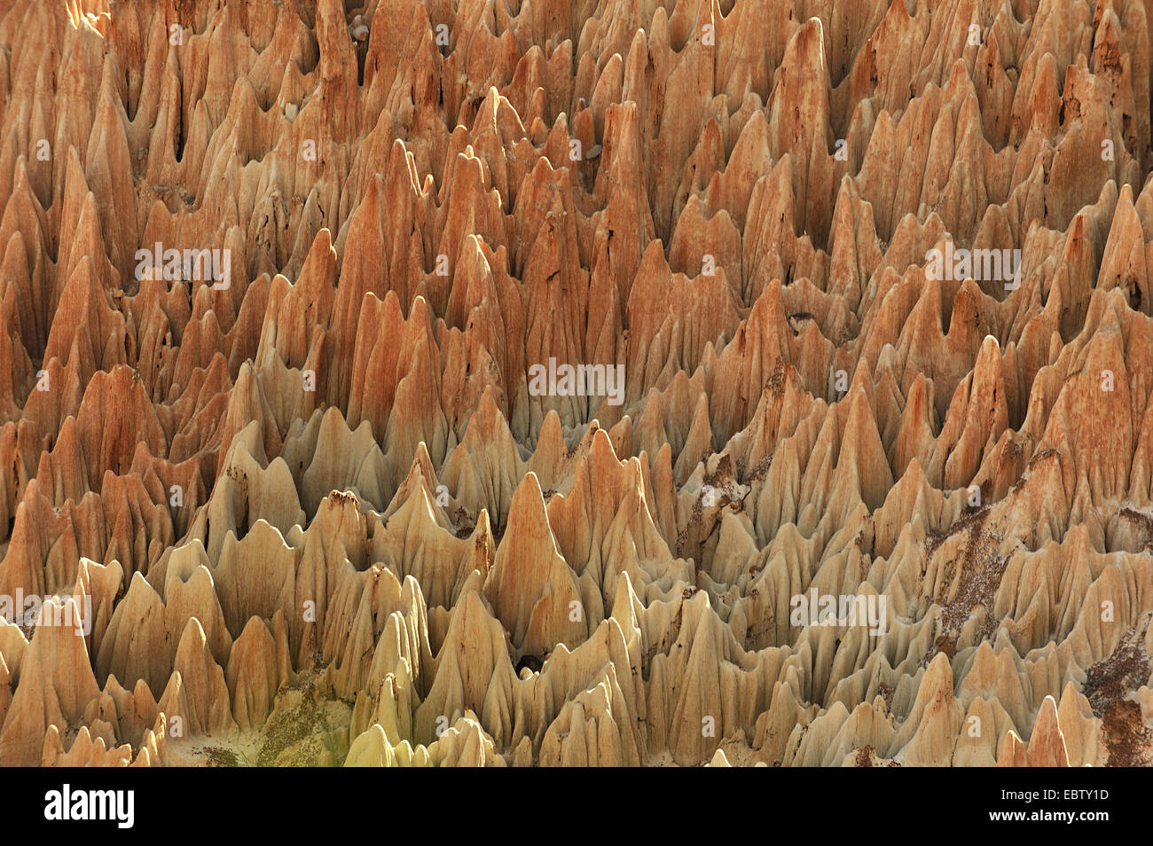 red karst limestone formation, Madagascar, Nationalpark Tsingy de ...