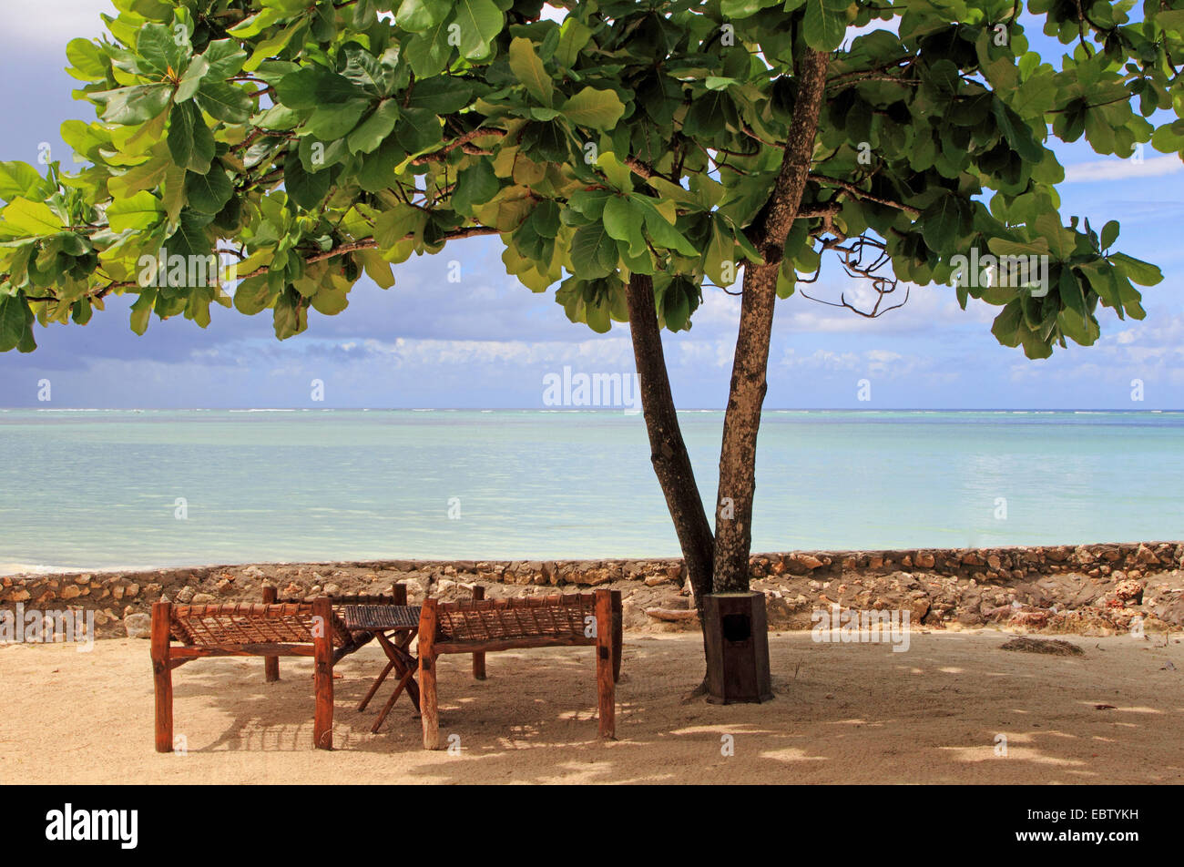 beach chair under tropical tree at the beach, Tanzania, Sansibar Stock ...