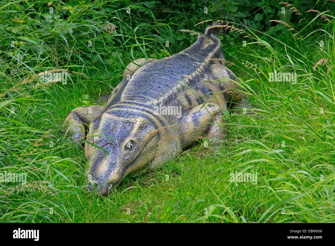 Goniopholis hi-res stock photography and images - Alamy