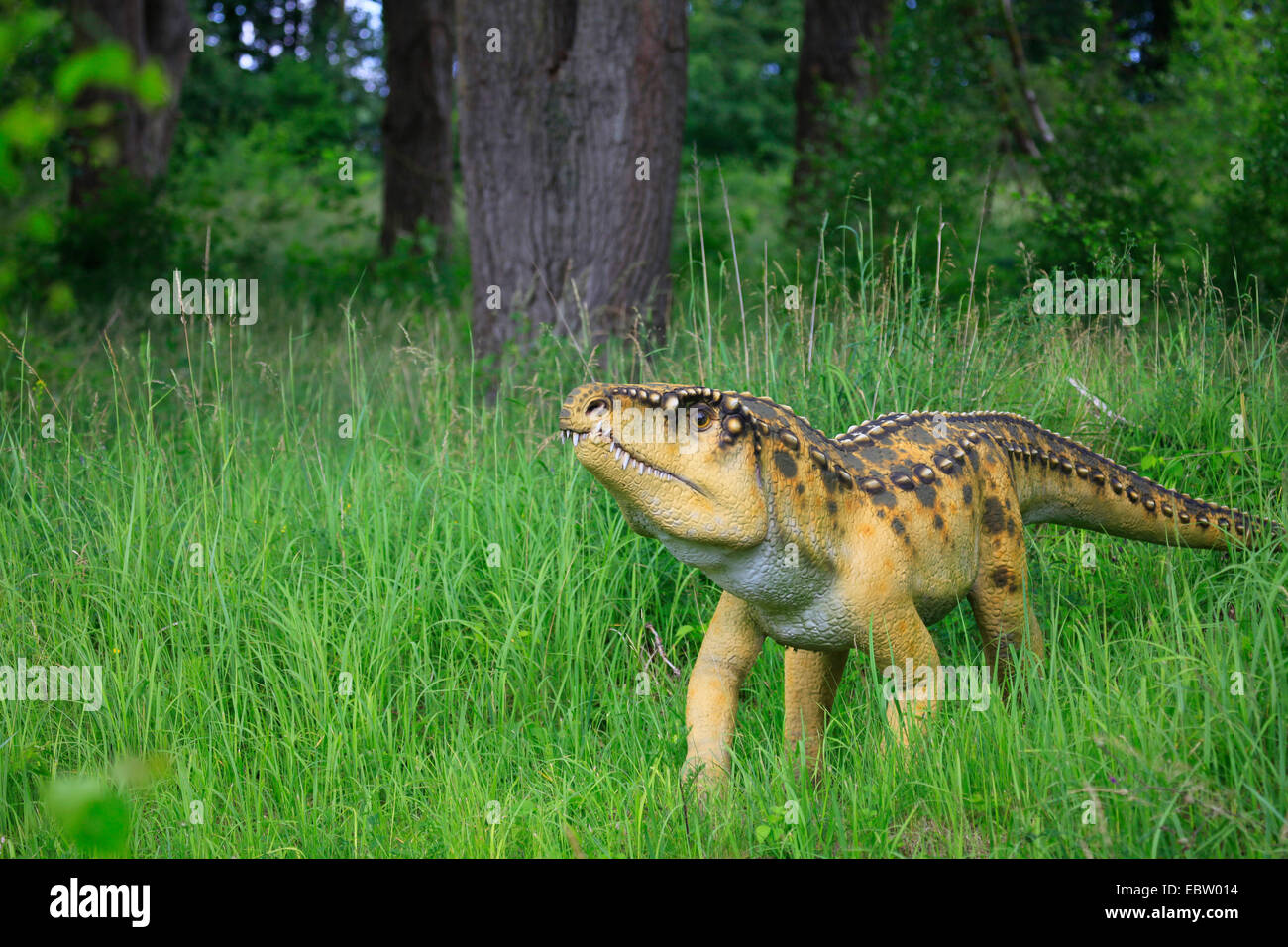 Bird crocodile (Ornithosuchus), primitive dinosaur Stock Photo - Alamy