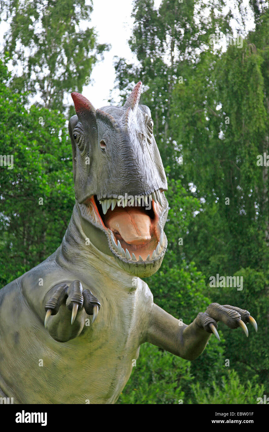 Allosaurus (Allosaurus), portrait Stock Photo - Alamy