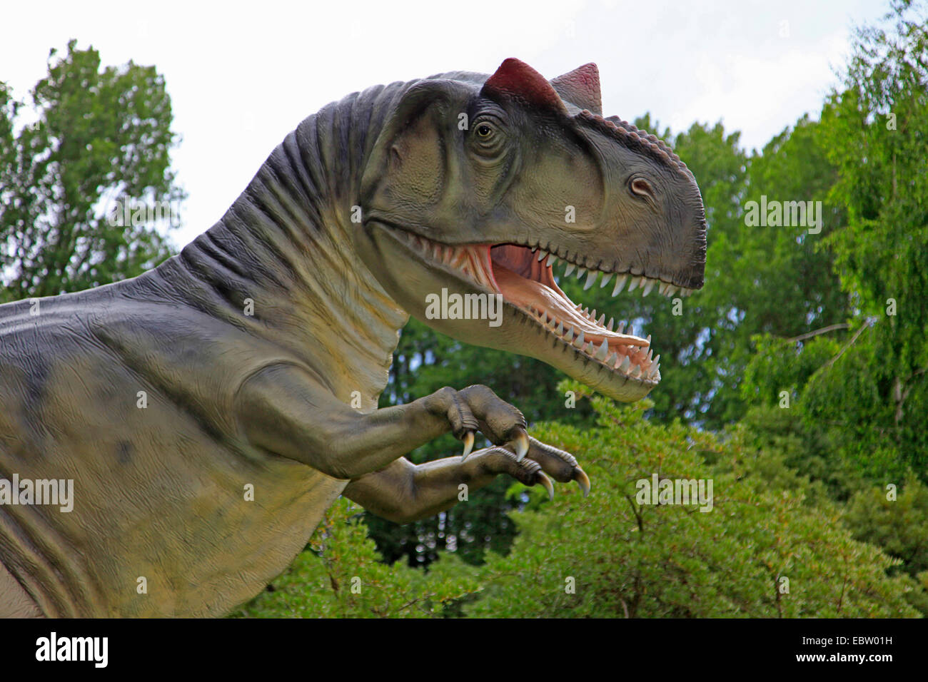 Allosaurus (Allosaurus), portrait Stock Photo - Alamy