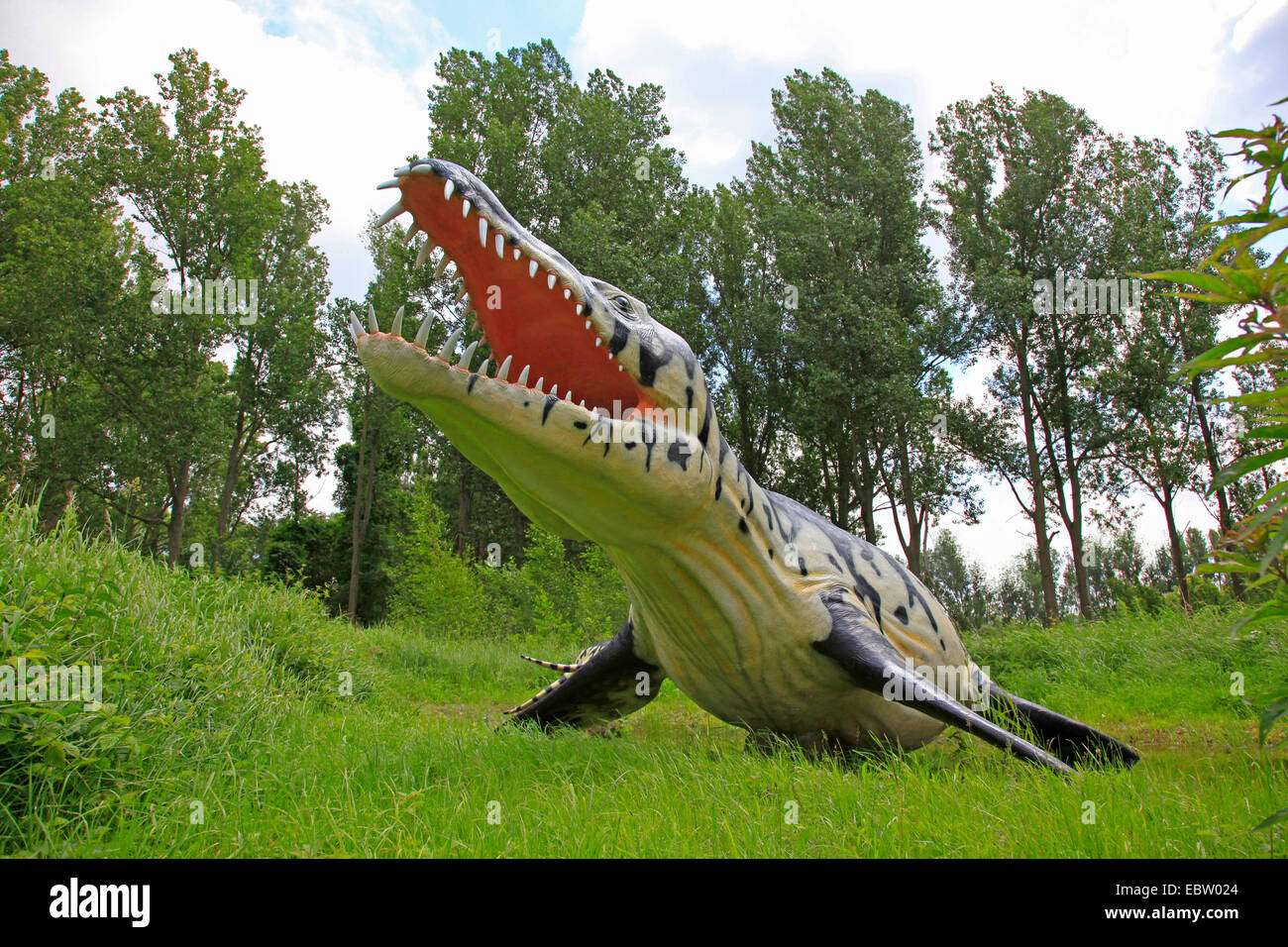 Liopleurodon (Liopleurodon), front view Stock Photo - Alamy