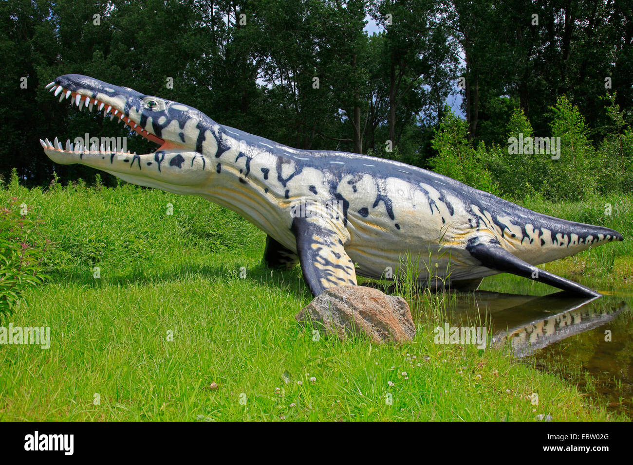 Liopleurodon hi-res stock photography and images - Alamy