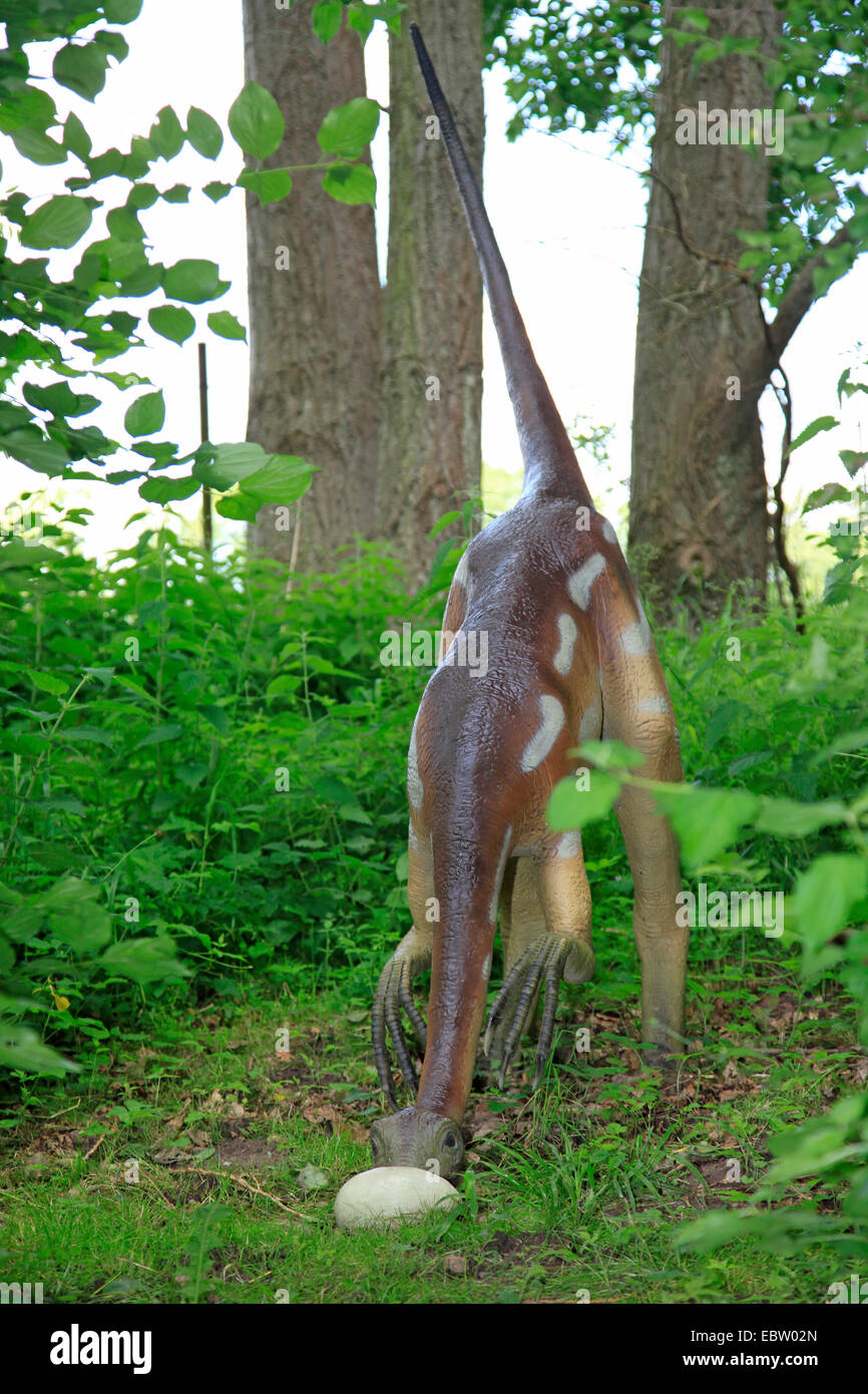 Bird Mimic (Ornithomimus), turning its egg Stock Photo - Alamy