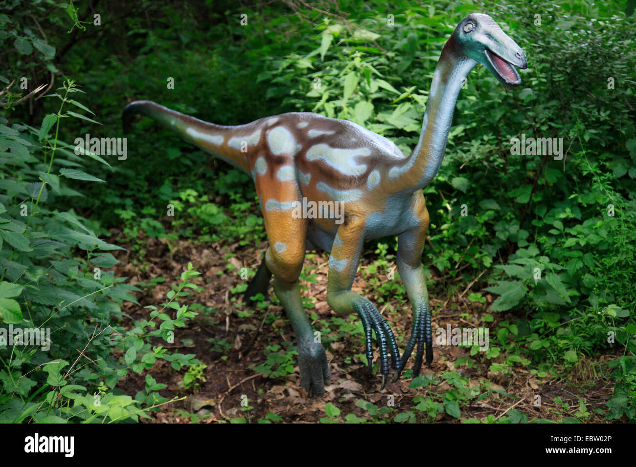 Bird Mimic (Ornithomimus), in shrubbery Stock Photo - Alamy