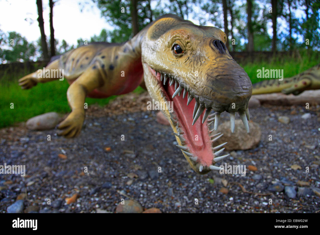 Nothosaurus hi-res stock photography and images - Alamy