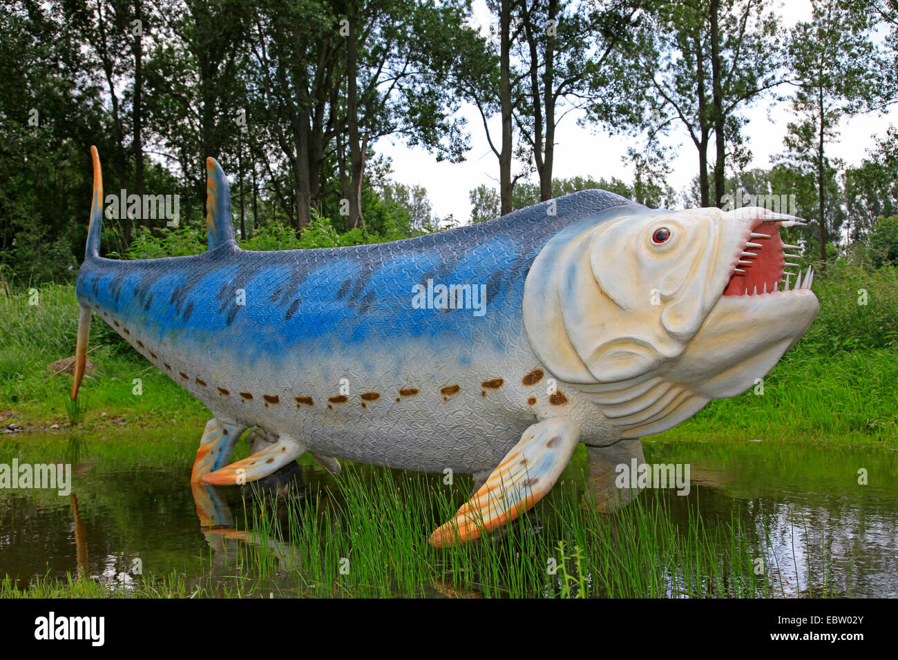 Sword-ray (Xiphactinus), swimming Stock Photo - Alamy
