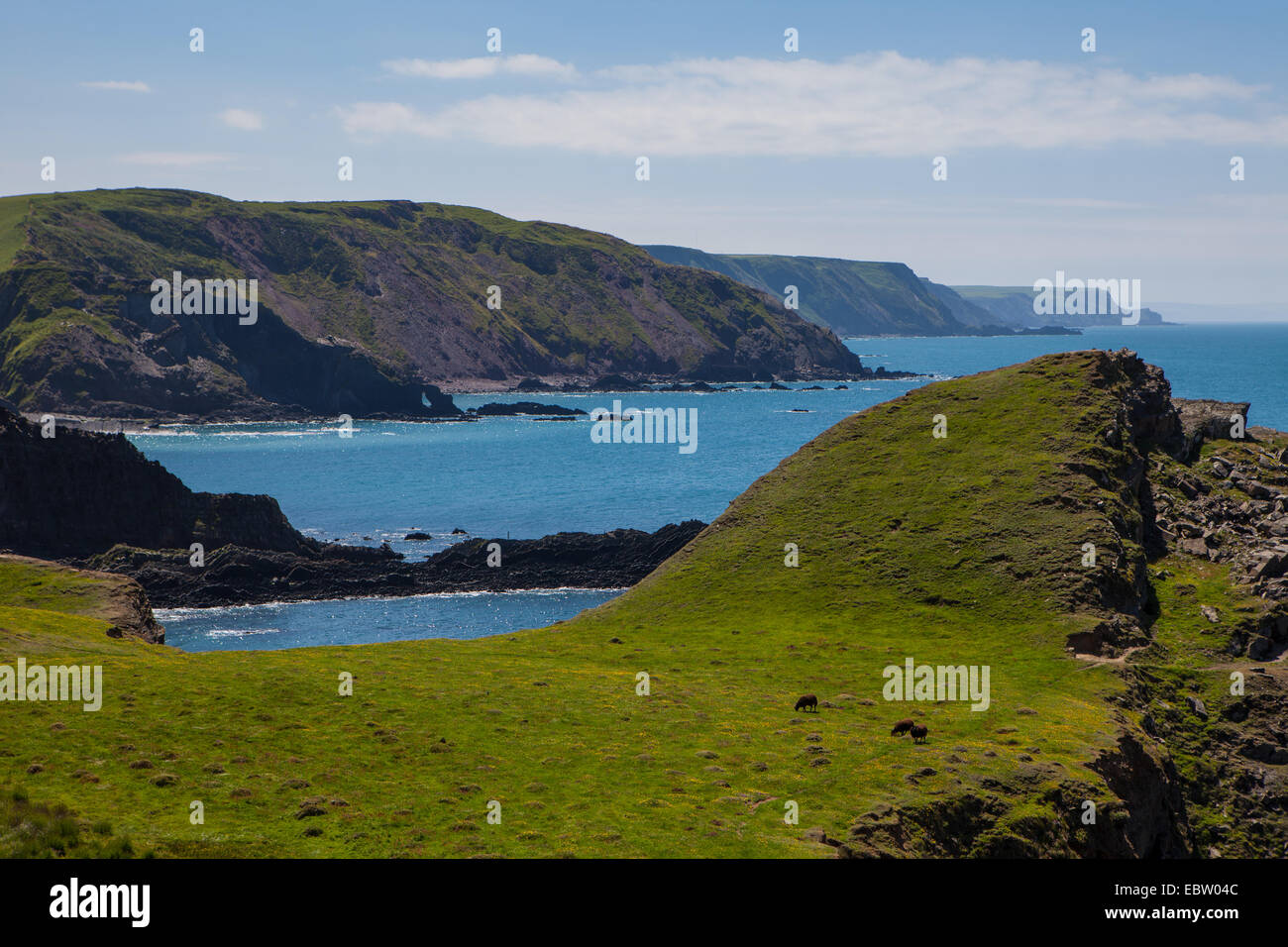 Rambling along the North Devon coast Stock Photo - Alamy