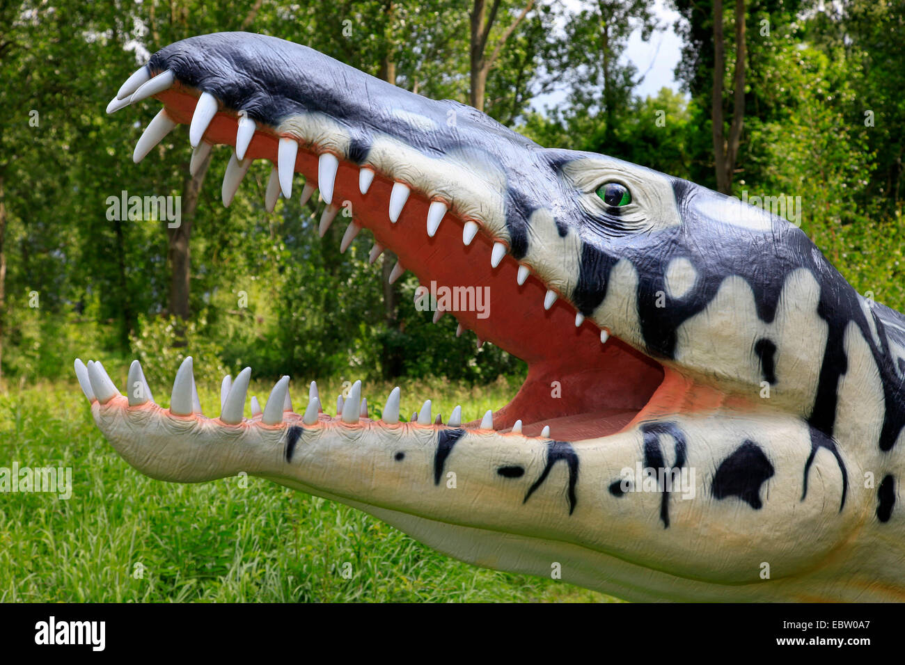 Liopleurodon hi-res stock photography and images - Alamy