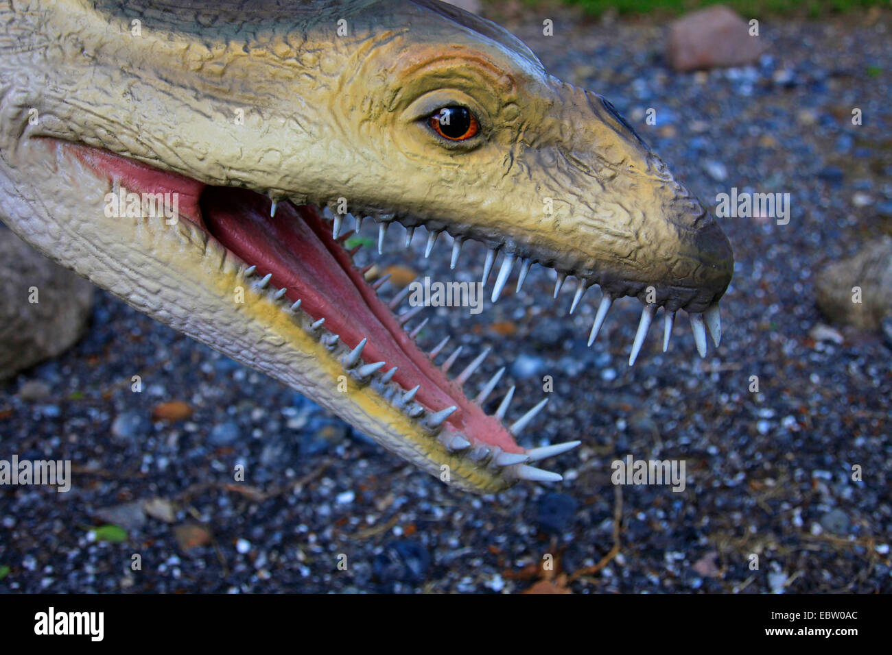 Nothosaurus hi-res stock photography and images - Alamy