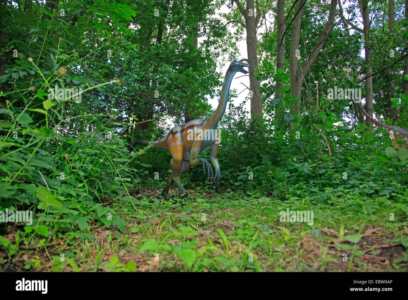 Bird Mimic (Ornithomimus), in shrubbery Stock Photo - Alamy