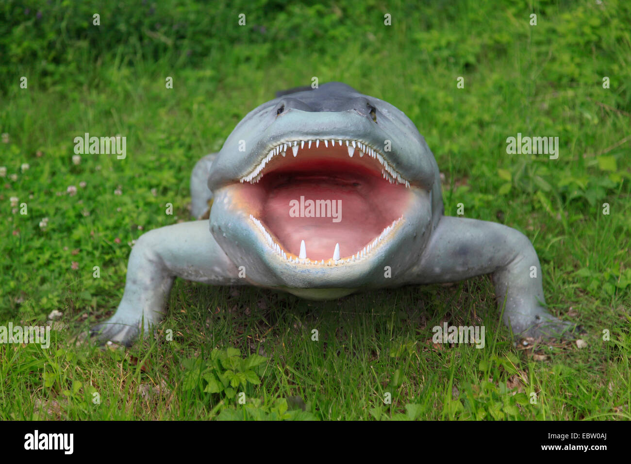 Mastodonsaurus extinct prehistoric amphibian hi-res stock photography ...