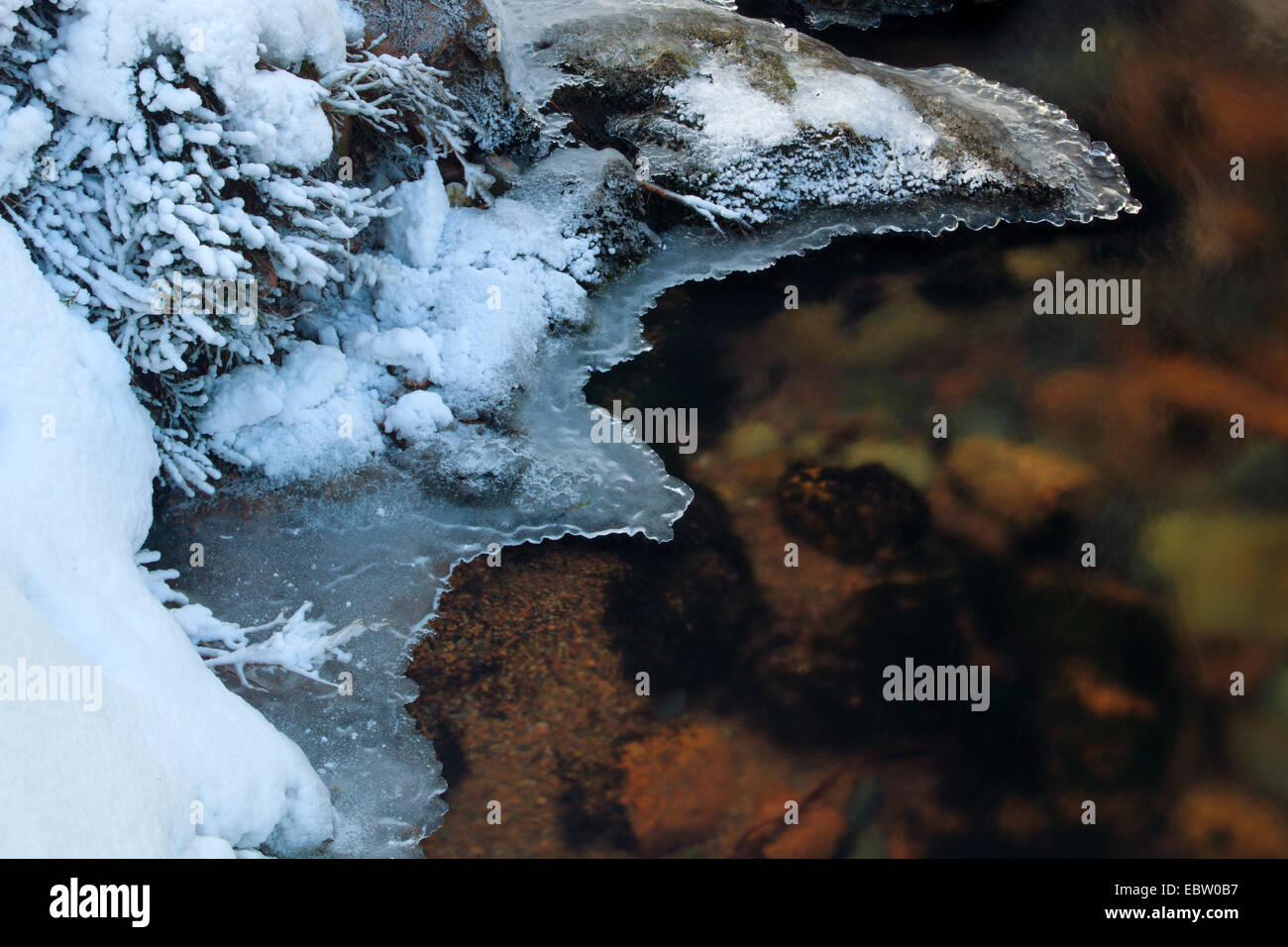 ice at mountain creek, United Kingdom, Scotland, Cairngorms National ...