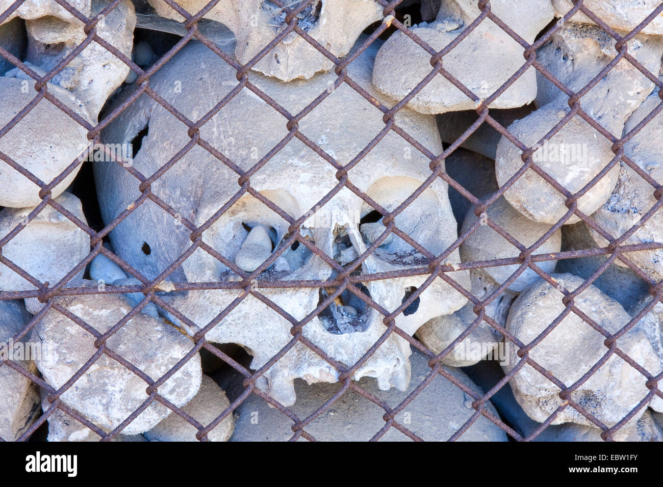 Stack of bones hi-res stock photography and images - Alamy