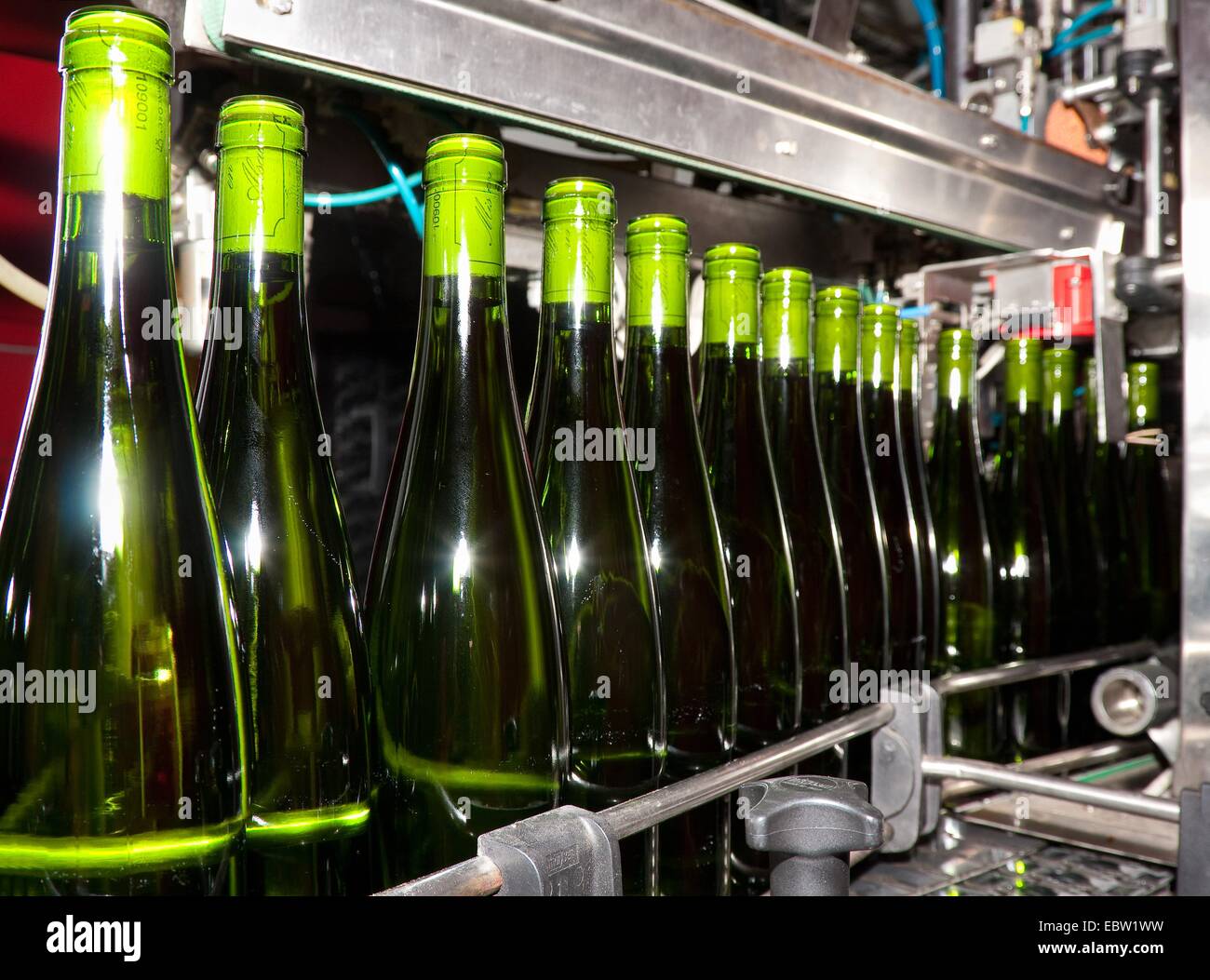 wine bottling of a winery, France, Haut-Rhin, Alsace, Eguisheim ...