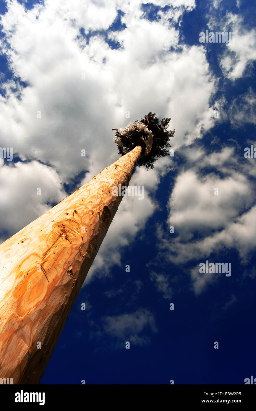 Maypole Germany High Resolution Stock Photography and Images - Alamy