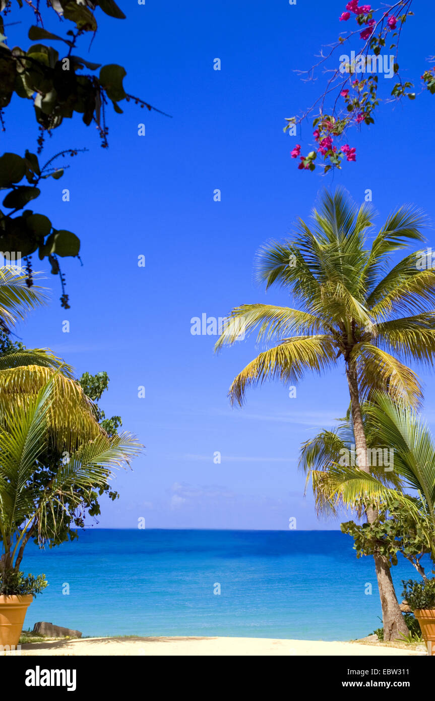 Long Bay Beach , Saint Martin, Baie Longue Stock Photo - Alamy