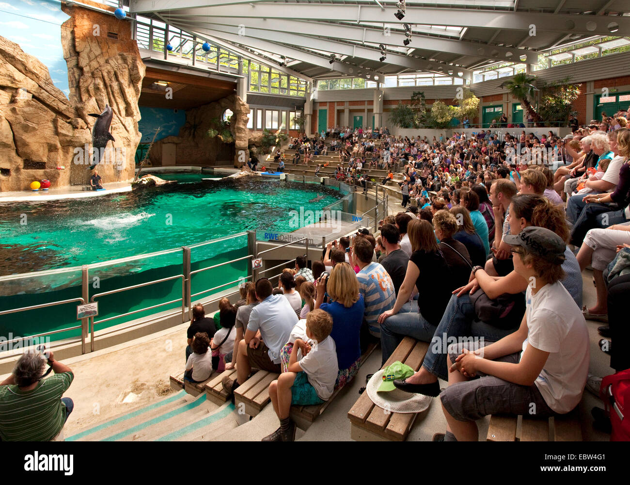 Dolphinarium jump sights that zoo hi-res stock photography and images ...