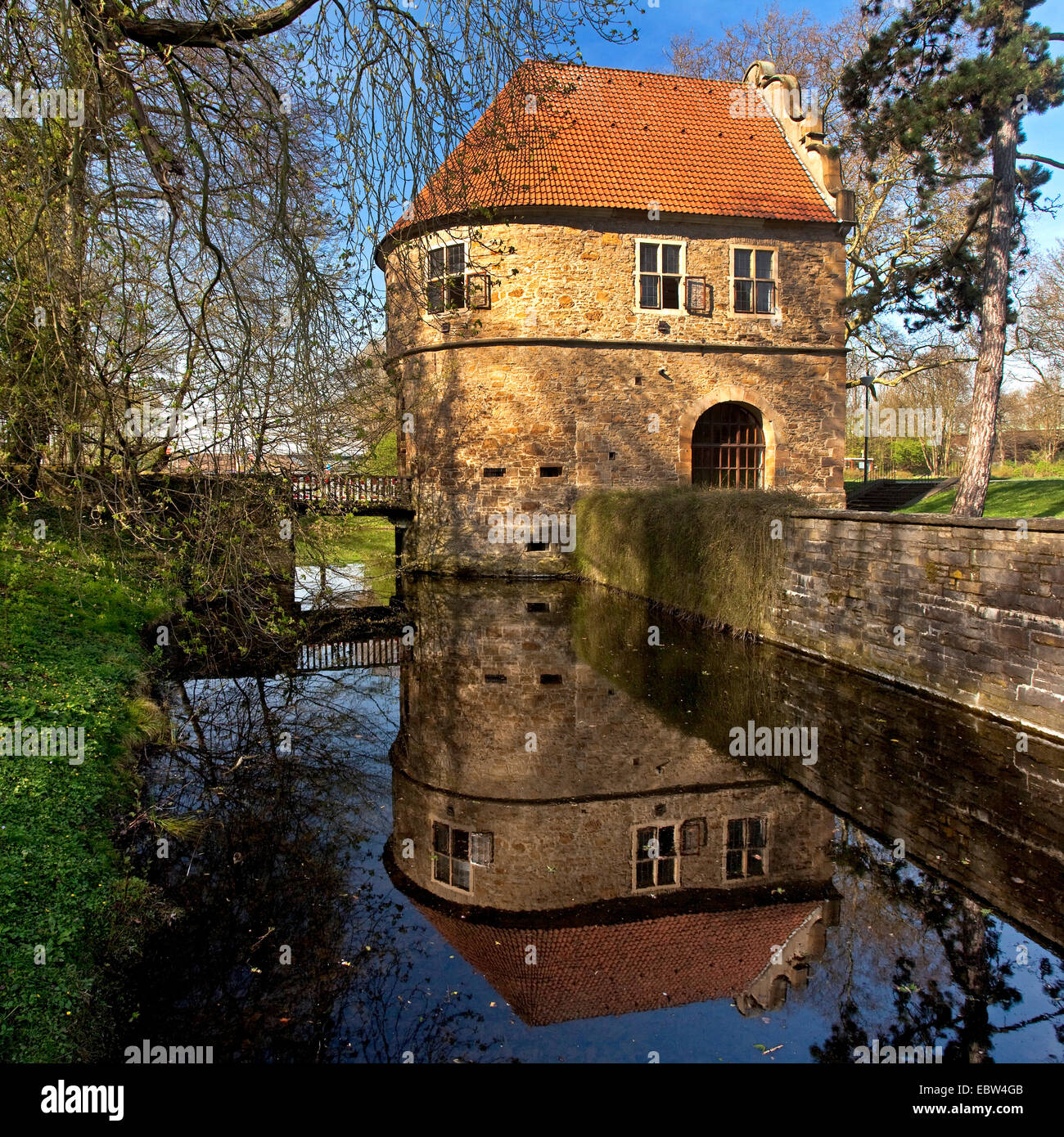 Rombergpark botanical garden hi-res stock photography and images - Alamy