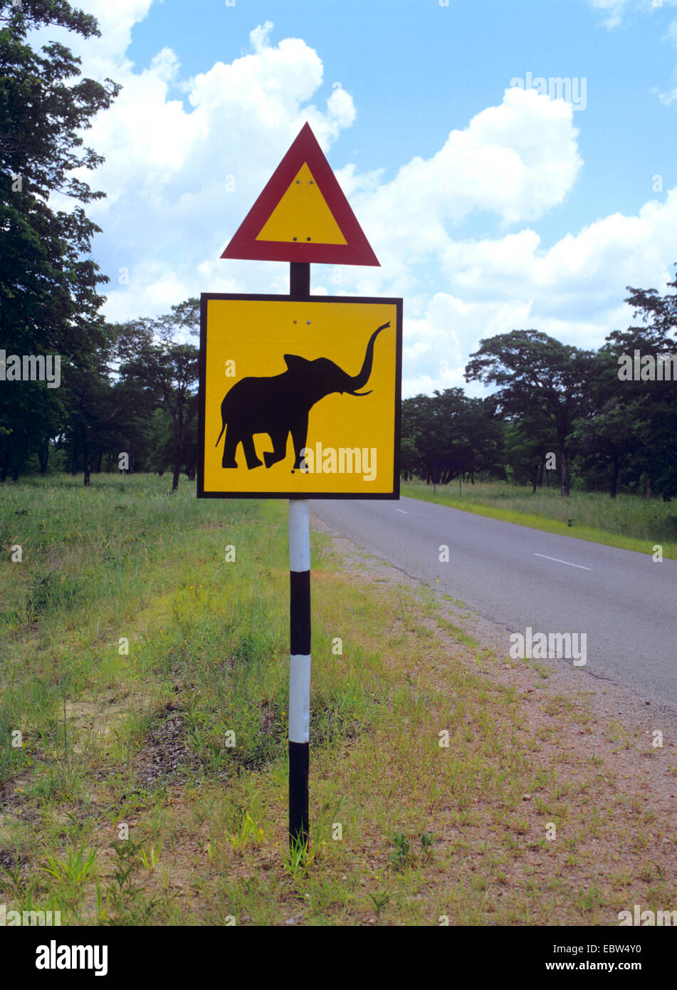 Road sign 'Elephants crossing', Zimbabwe Stock Photo - Alamy
