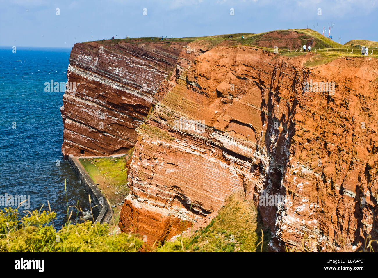 bird cliff of Helgoland, Germany, Schleswig-Holstein, Heligoland Stock ...