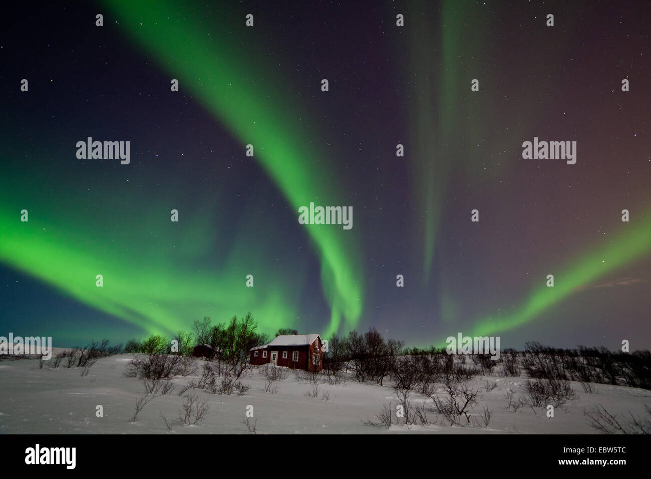 Northern lights over plain hi-res stock photography and images - Alamy