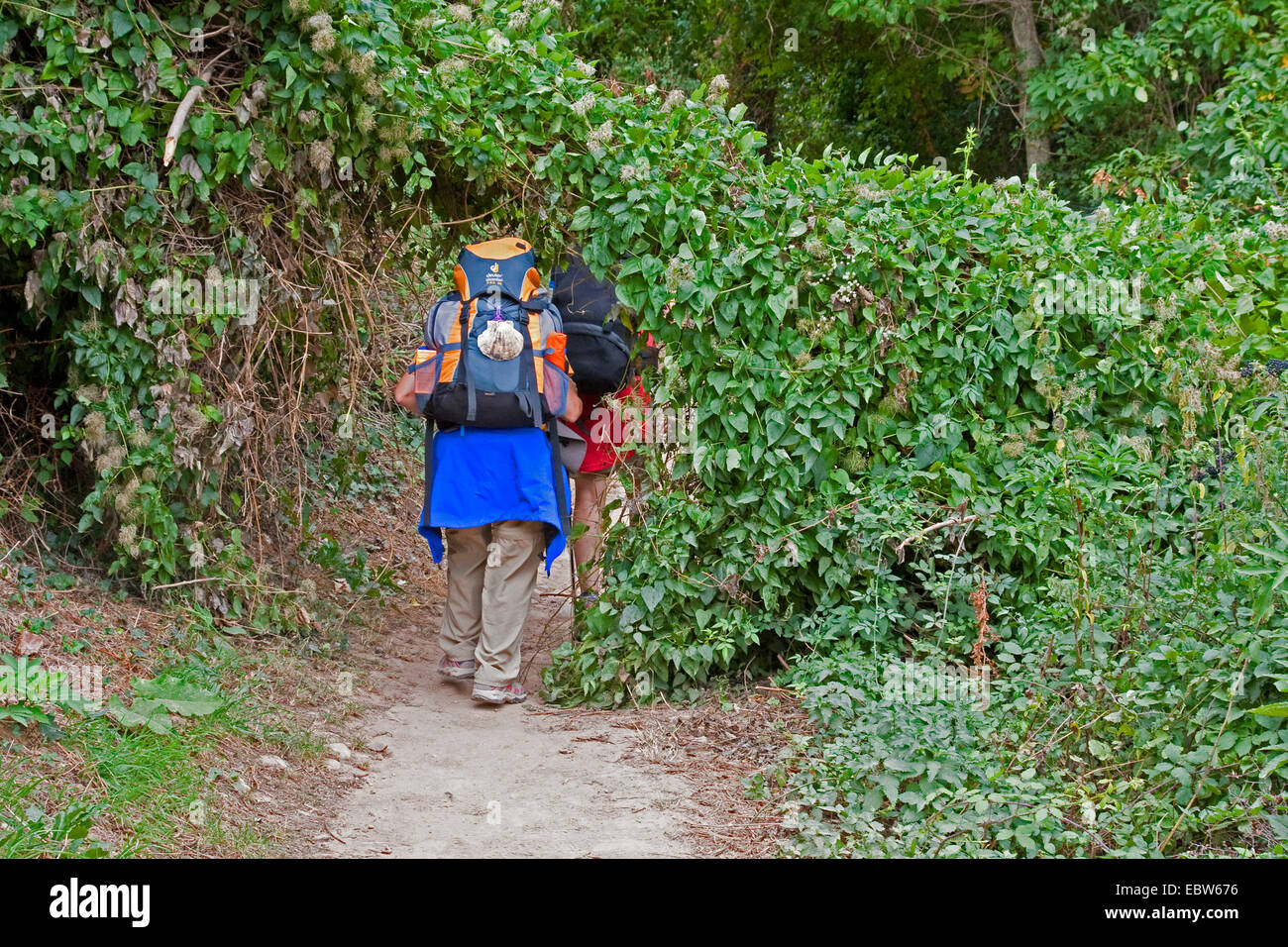 two pilgrims on the way from Pamplona to Alto del Perd¾n, Spain, Basque ...
