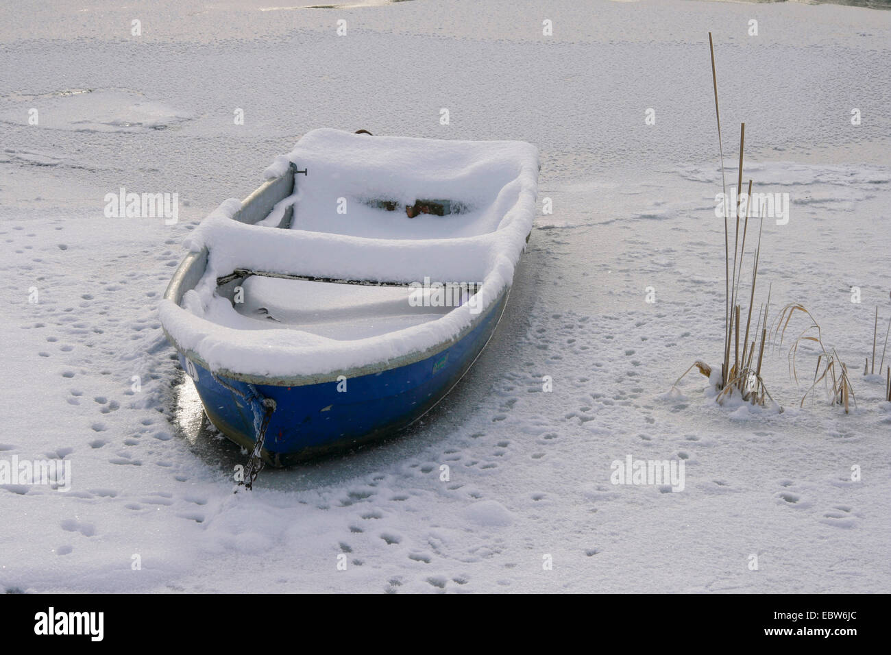 German river boat hi-res stock photography and images - Alamy