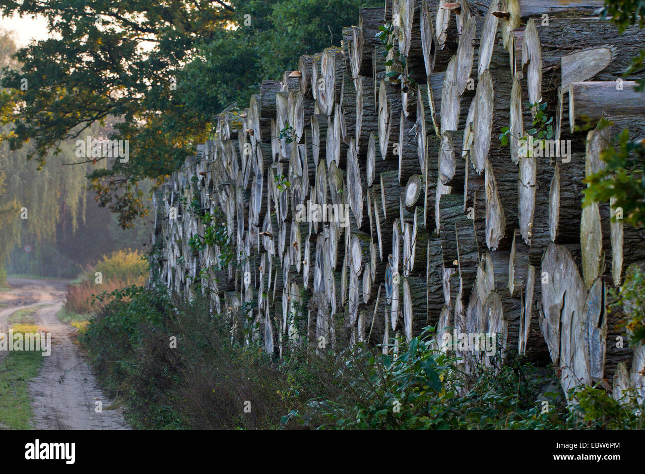 Pile of bodies hi-res stock photography and images - Alamy