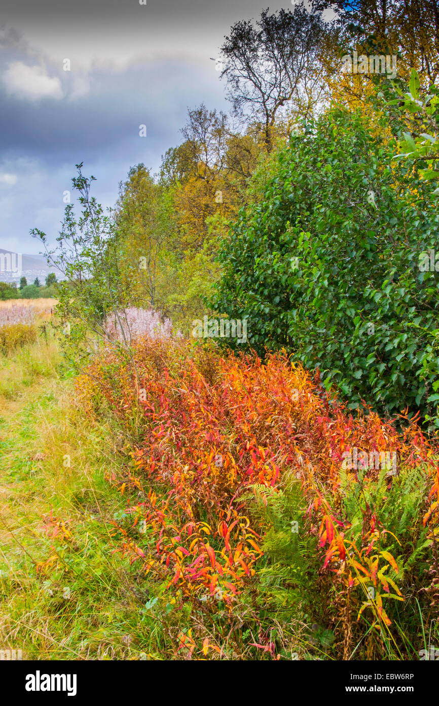 Edge autumn hi-res stock photography and images - Alamy