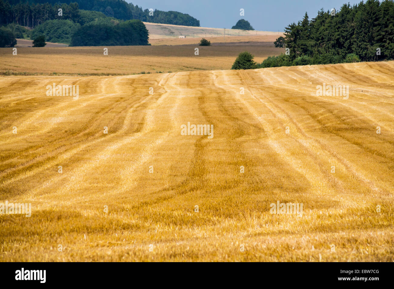 stubble field in summer, Austria Stock Photo - Alamy