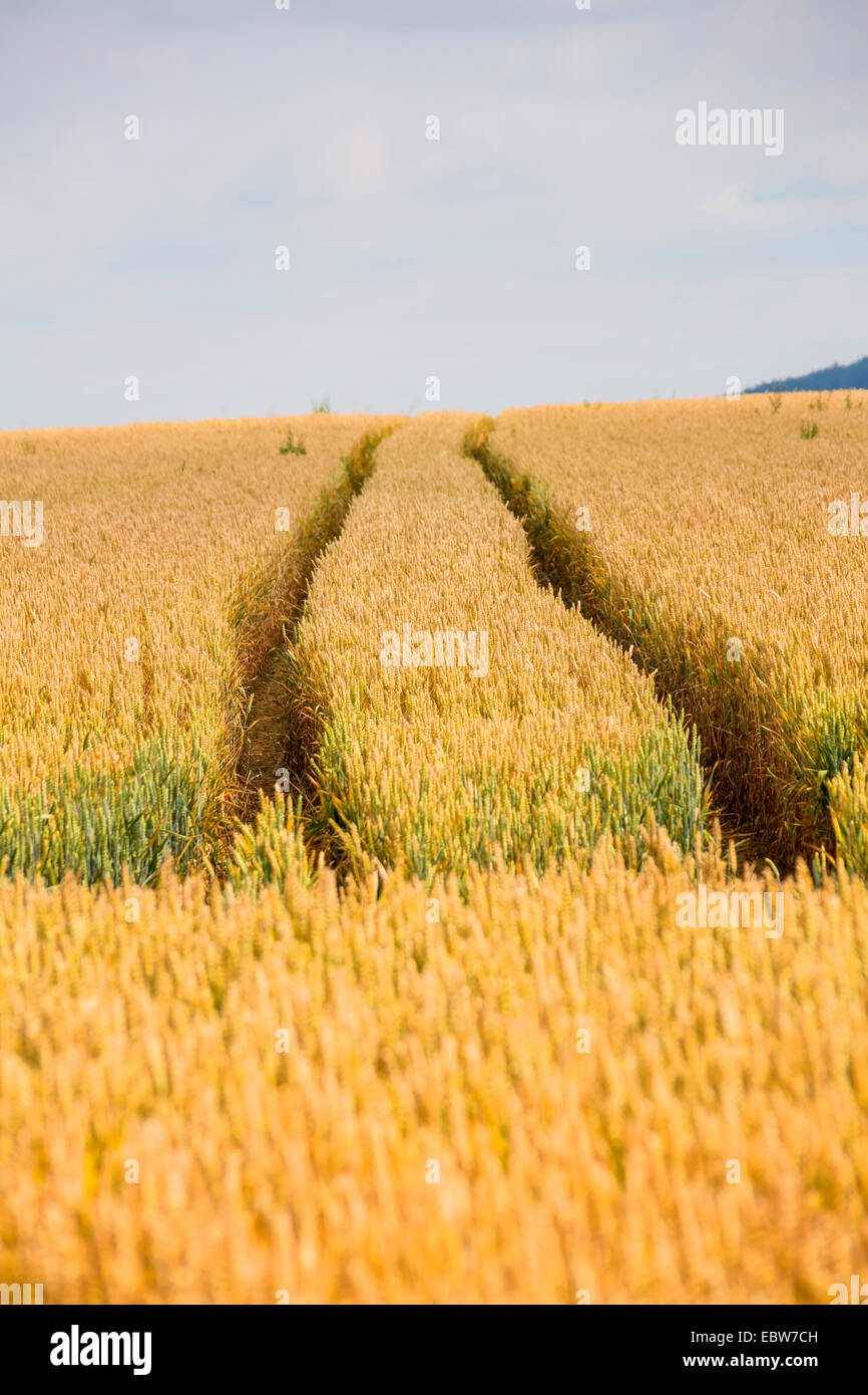 Mcphoto bilderbox hi-res stock photography and images - Alamy