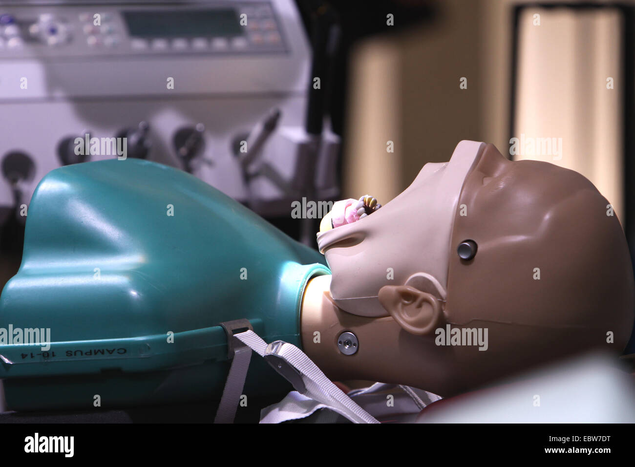 dummy of a patient for dentists on a trade fair Stock Photo - Alamy