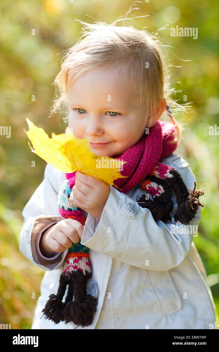 little girl collecting autumn leaves Stock Photo - Alamy