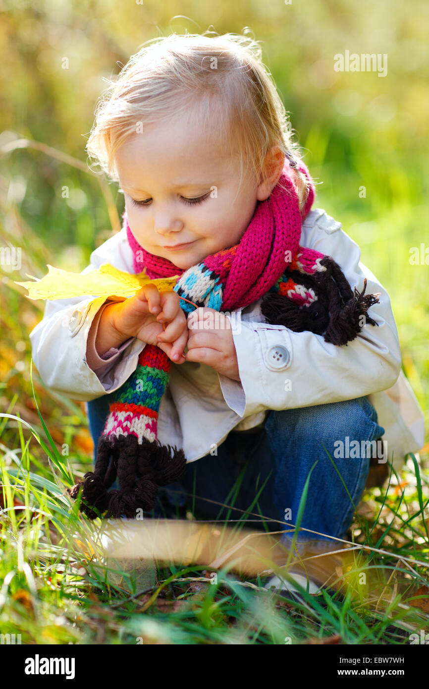little girl collecting autumn leaves Stock Photo - Alamy