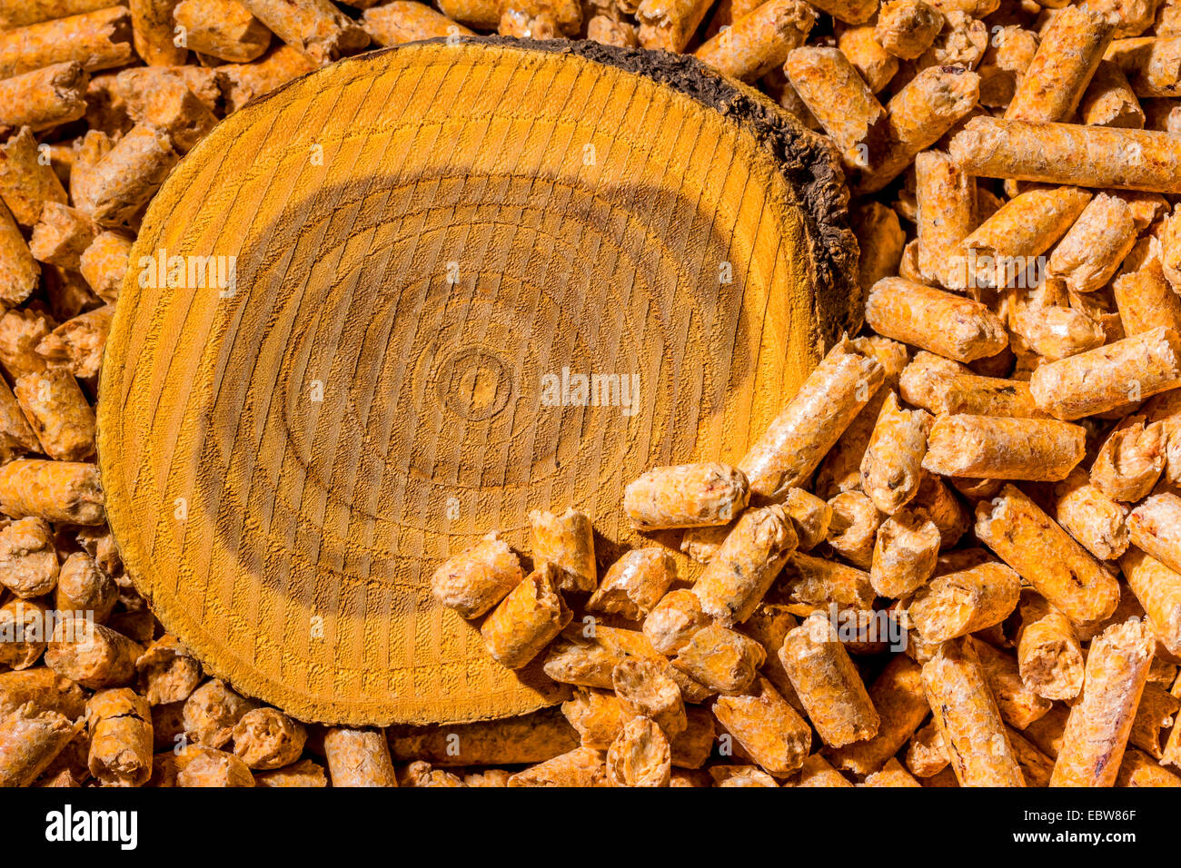 pellets for heating as an alternative energy source Stock Photo - Alamy