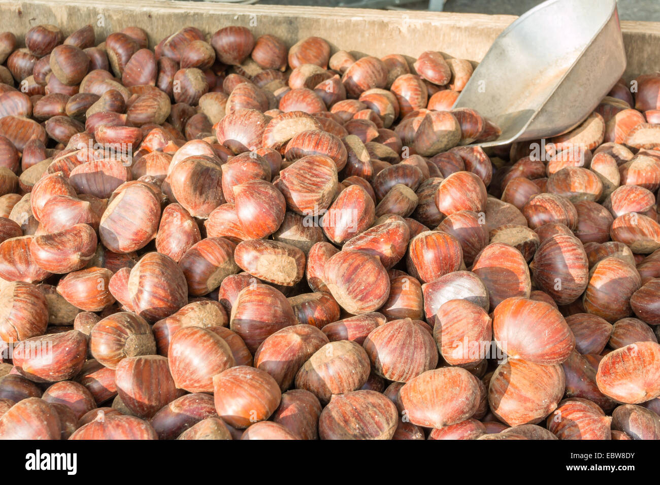 Delicious group of chestnuts fruits close up shoot Stock Photo - Alamy