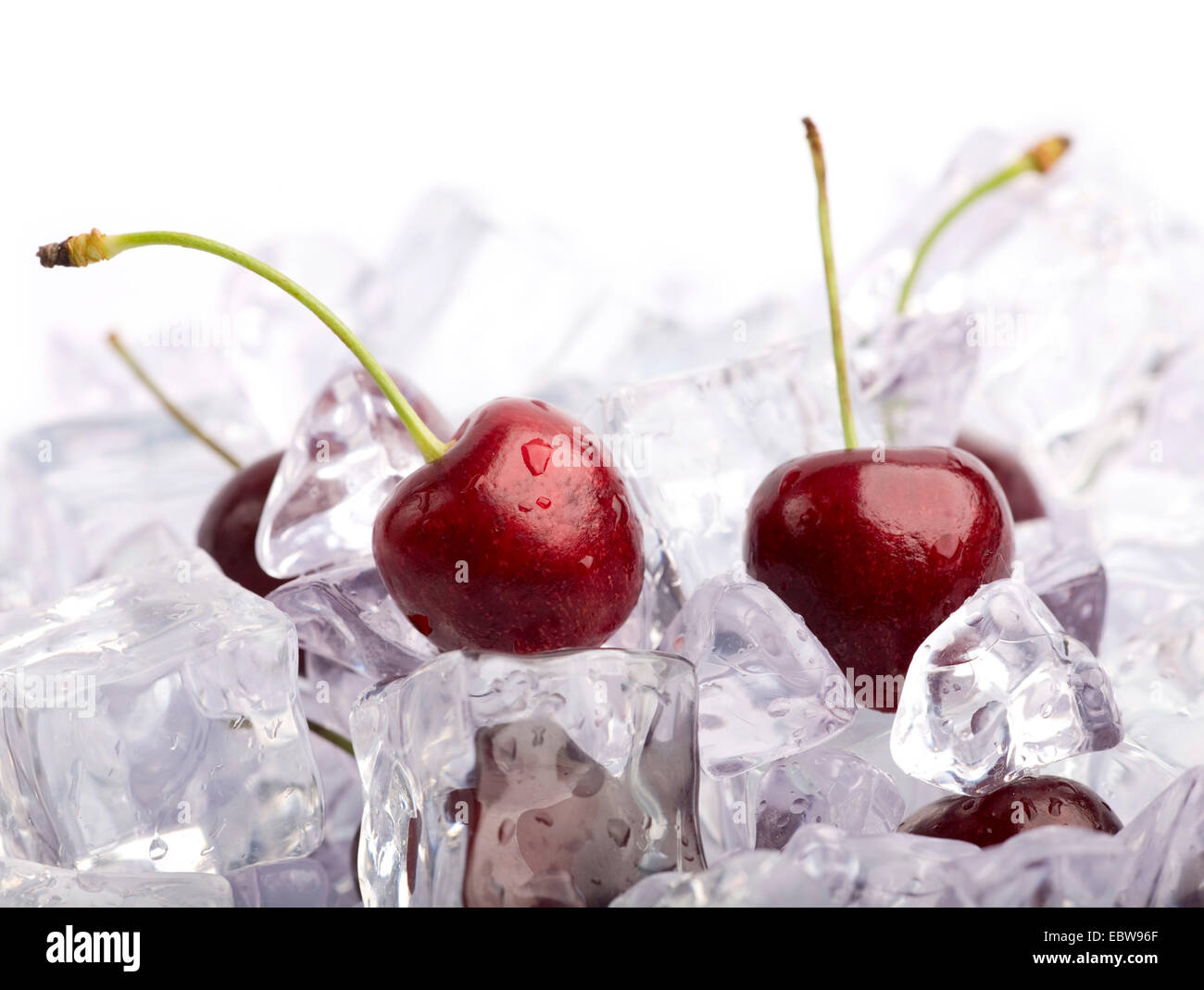 Fresh cherries with ice cubes Stock Photo - Alamy