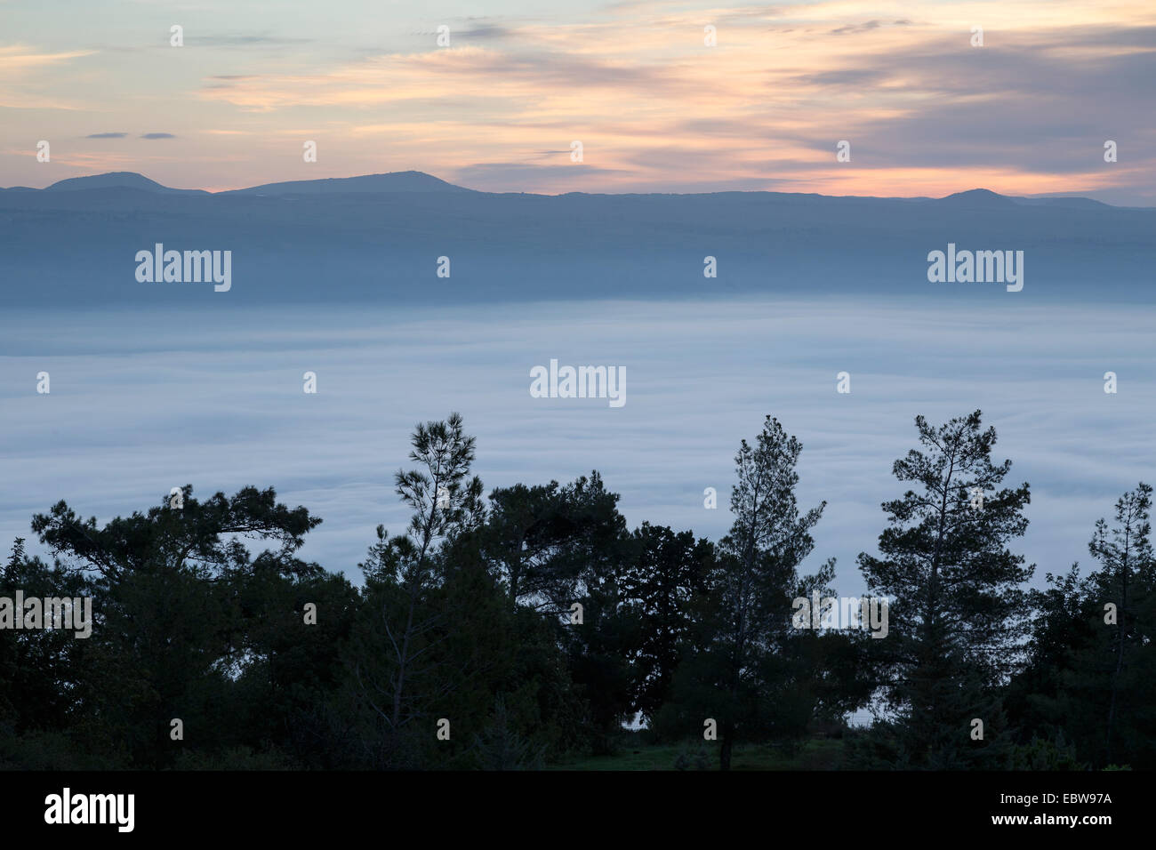Hula Valley view. Trees and fog. Hula Valley. Israel Stock Photo - Alamy