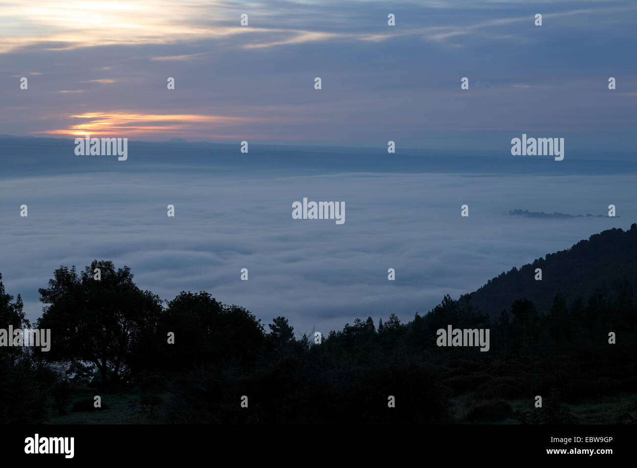 Hula Valley view. Trees and fog. Hula Valley. Israel Stock Photo - Alamy