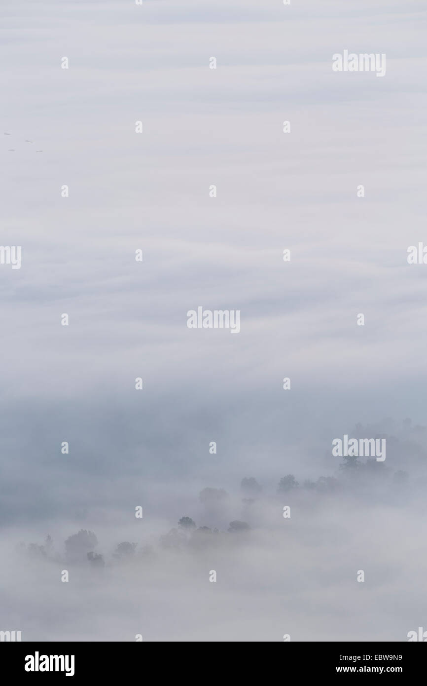 Hula Valley view. Trees and fog. Hula Valley. Israel Stock Photo - Alamy