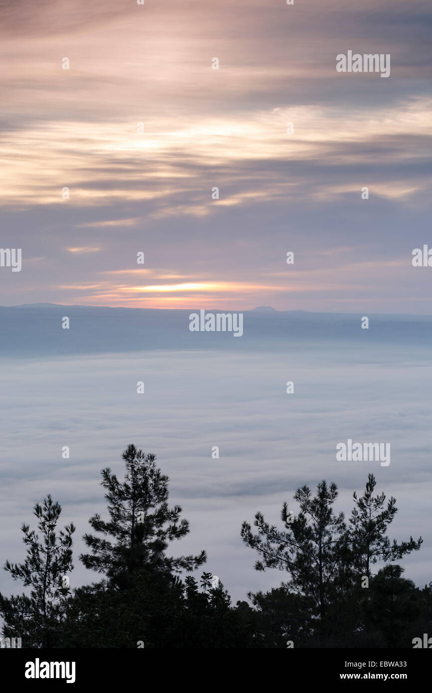 Hula Valley view. Trees and fog. Hula Valley. Israel Stock Photo - Alamy