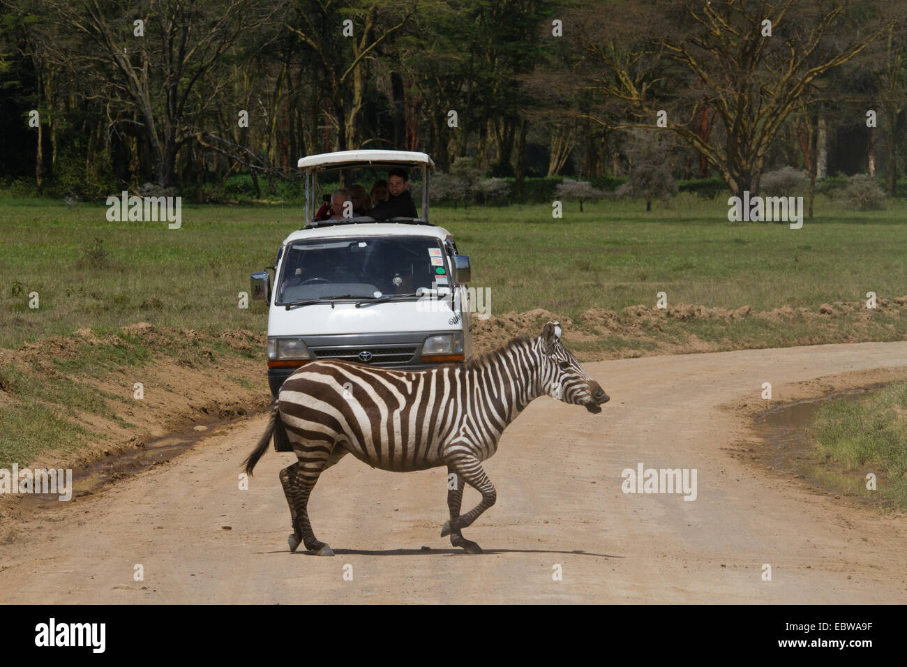 Zebra crossing hi-res stock photography and images - Alamy