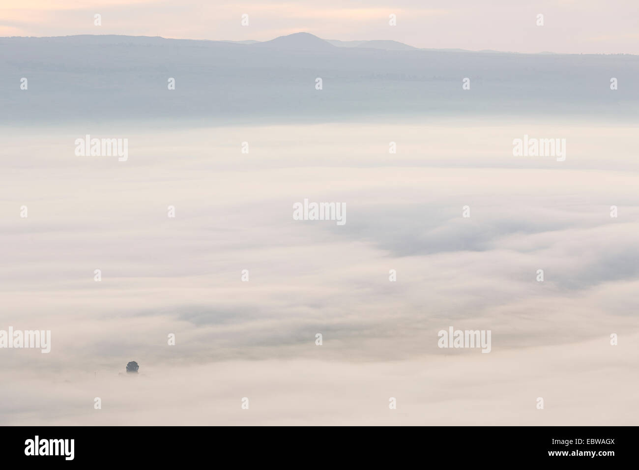Hula Valley view. Trees and fog. Hula Valley. Israel Stock Photo - Alamy