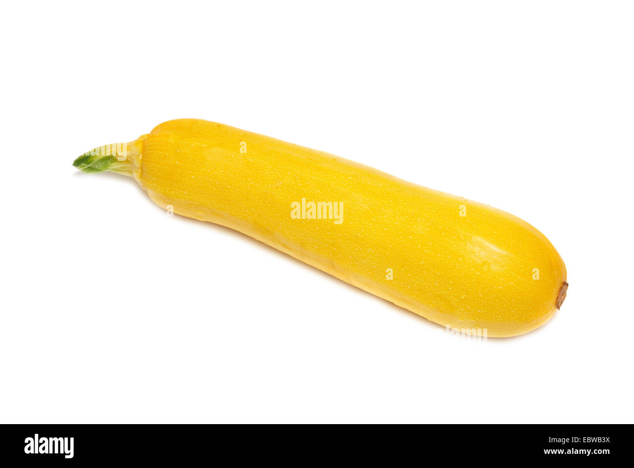 Yellow marrow isolated on the white background Stock Photo - Alamy
