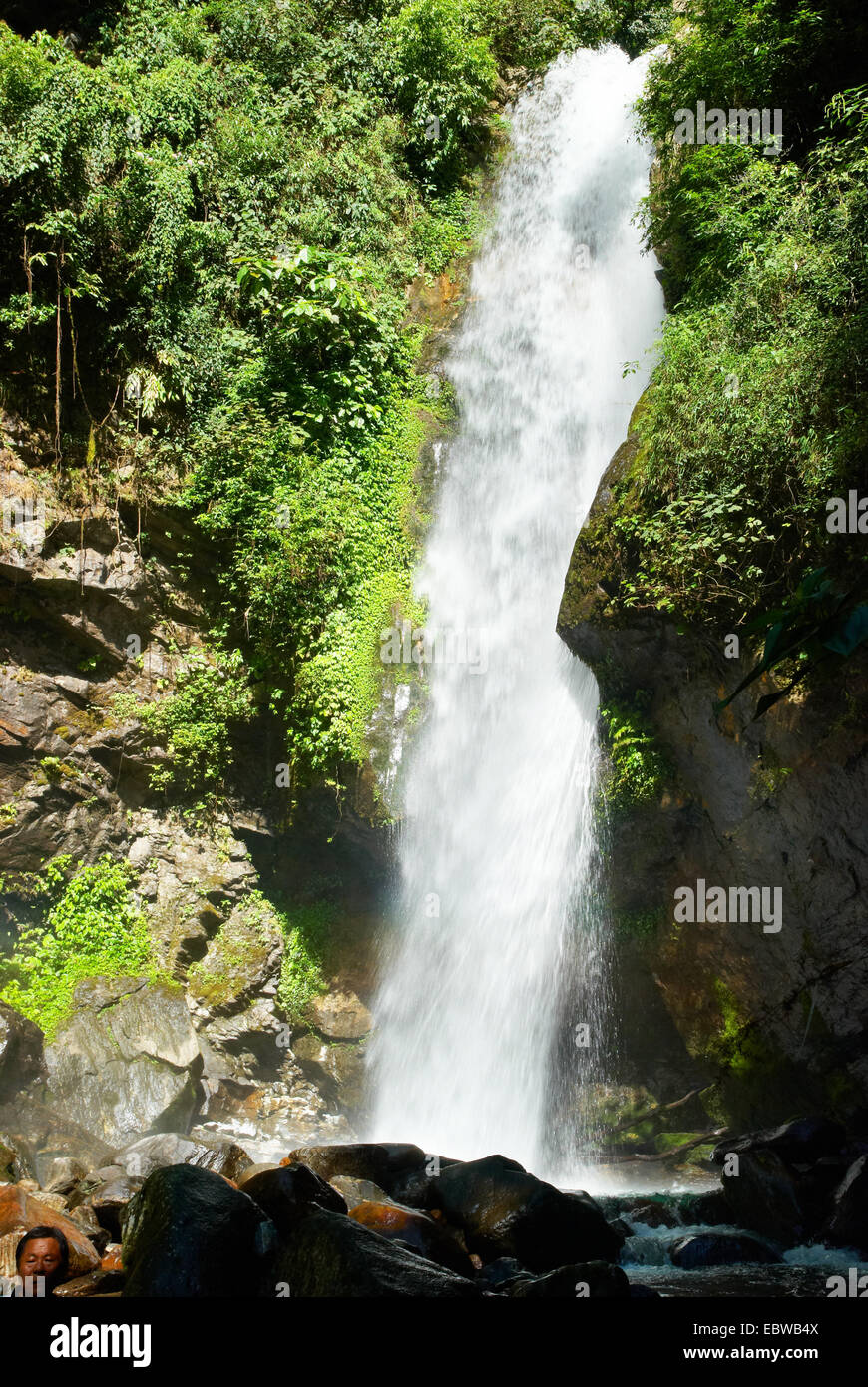 Waterfall in the forest surrounded by green trees Stock Photo - Alamy