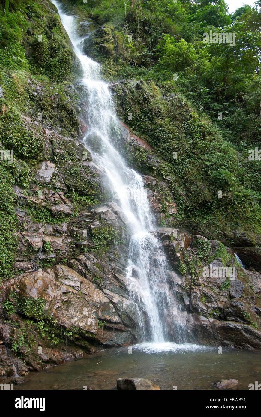 Waterfall in the forest surrounded by green trees Stock Photo - Alamy