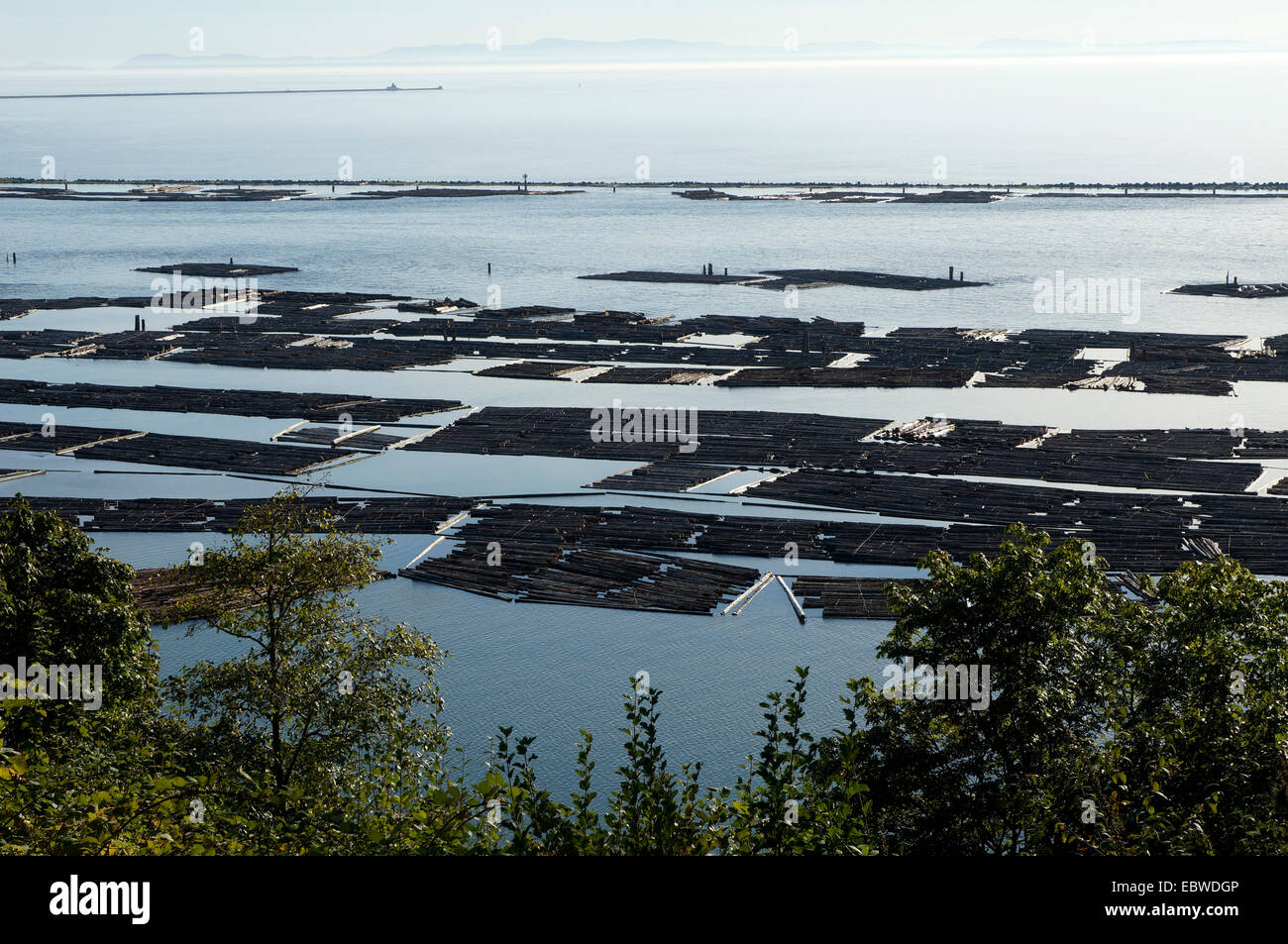 Log booms floating on the Fraser River, Vancouver, British Columbia ...